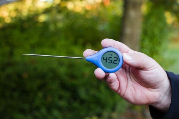 The Best Instant Read Thermometer of 2022 | Expert Reviews