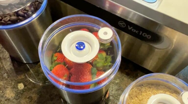 JVR Vac100 Review | 6 Reasons Why We Prefer It